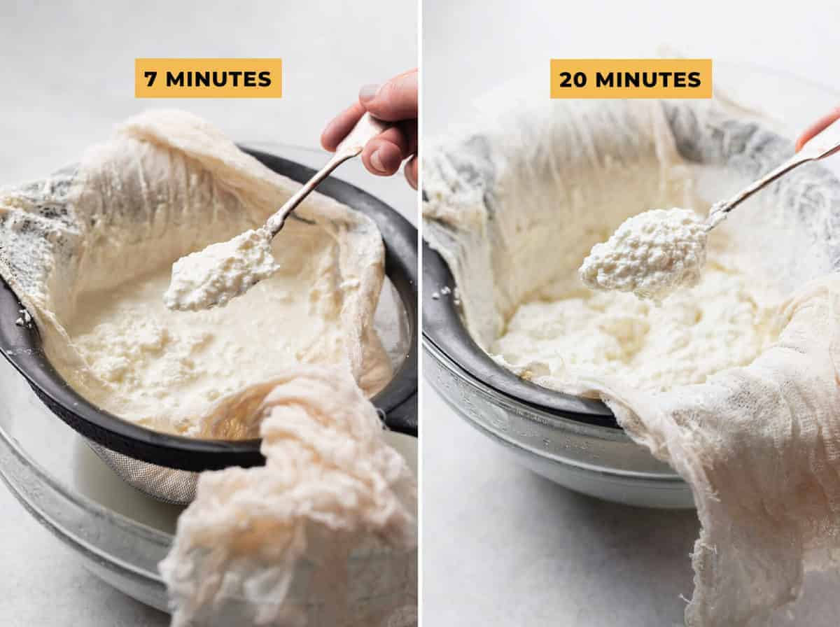How to Make Ricotta Cheese (Easy Ricotta Cheese Recipe) - The Cheese Knees