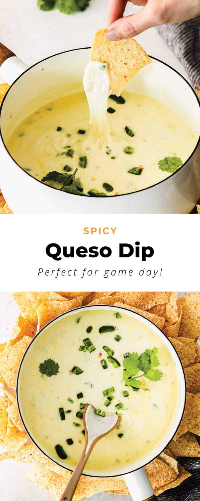 Homemade Queso Dip - The Cheese Knees
