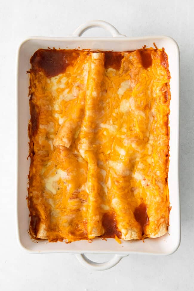 Cheese Enchiladas (never soggy!) - The Cheese Knees
