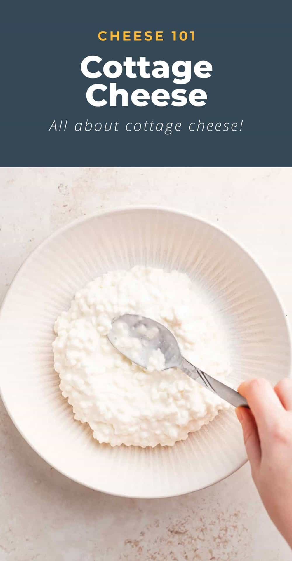Cottage Cheese 101 - The Cheese Knees
