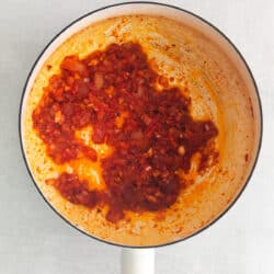 Vodka Sauce Recipe (20-min!) - The Cheese Knees
